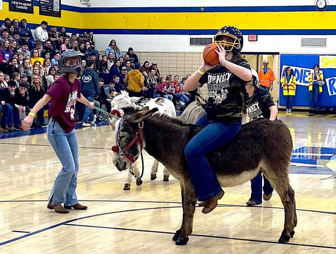 Donkeys, pies in the face make for fun in New Wilmington | Local News ...