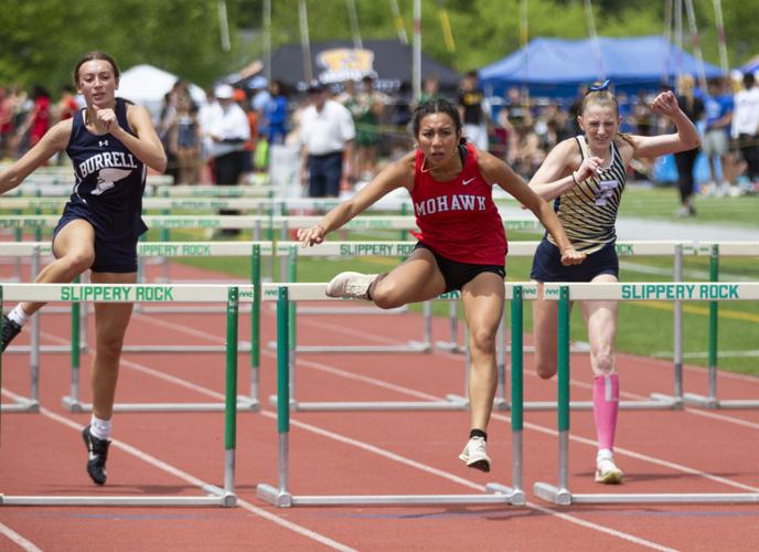 County athletes claim 10 golds at WPIAL meet | | ncnewsonline.com
