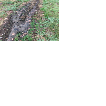 Dutch Ridge Road residents want solution to raw sewage issue | Local ...