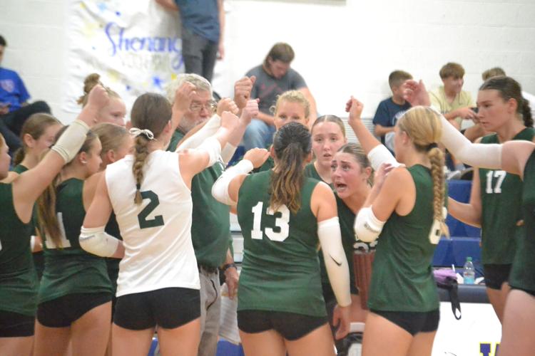 Volleyball - WPIAL Section 4-2A: Laurel at Shenango | Sports ...
