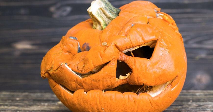 Column by Samantha Perry | The sad sight of a decomposing pumpkin ...