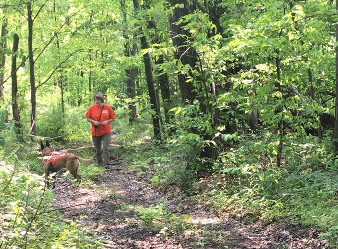 Search with dogs come up short for missing teen | Local News ...