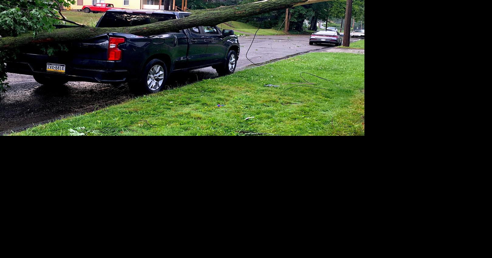 Storms topple trees, knock out power for hundreds | News | ncnewsonline.com