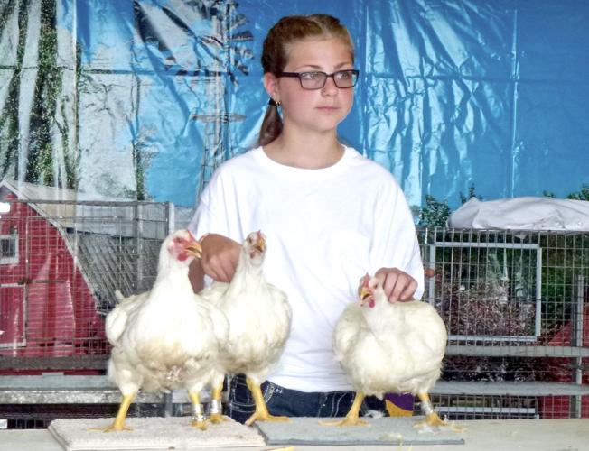 WATCH VIDEO: Poultry judge shares wisdom with new 4-H club | News ...