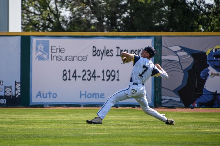 Shenango baseball team falls short against Schuylkill Haven | Local ...