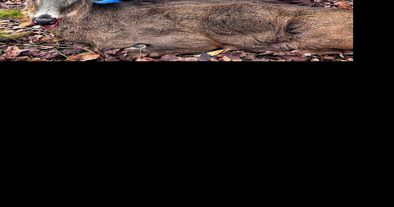 Local hunters donate deer to feed needy | Local News | ncnewsonline.com