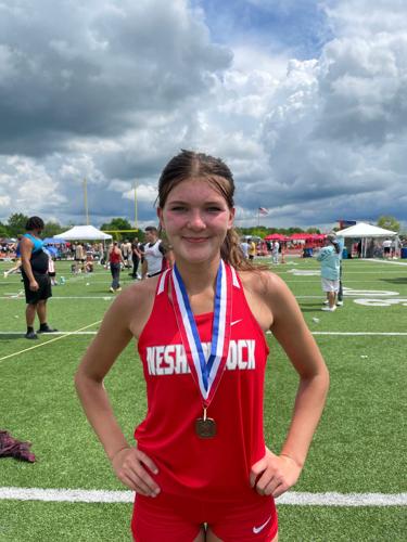 Lawrence County track and field contingent ready for PIAA individual ...