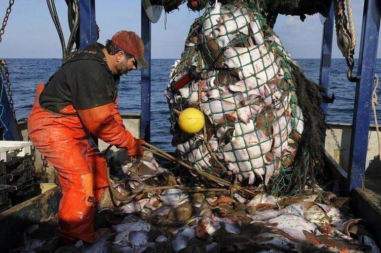 Climate change wreaks havoc in gardening, fishing and just living | Don ...