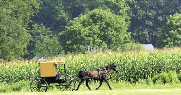 Presentation on the Amish coming to city library | Lifestyles ...