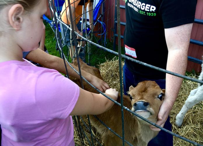 City kids learn farm life at ag encounter | Local News | ncnewsonline.com