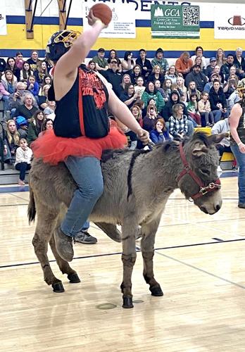 Donkeys, pies in the face make for fun in New Wilmington | Local News ...