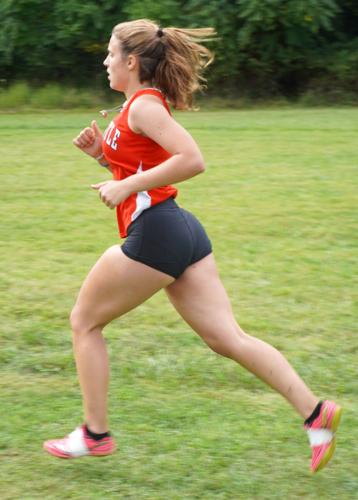 Cross country: West Allegheny, Central Valley at New Castle | Local ...