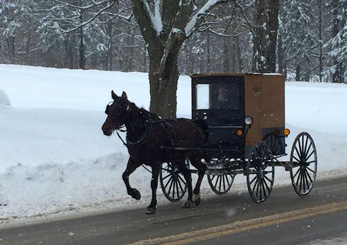 Snowstruck: First major accumulation of the season packs a punch | News ...