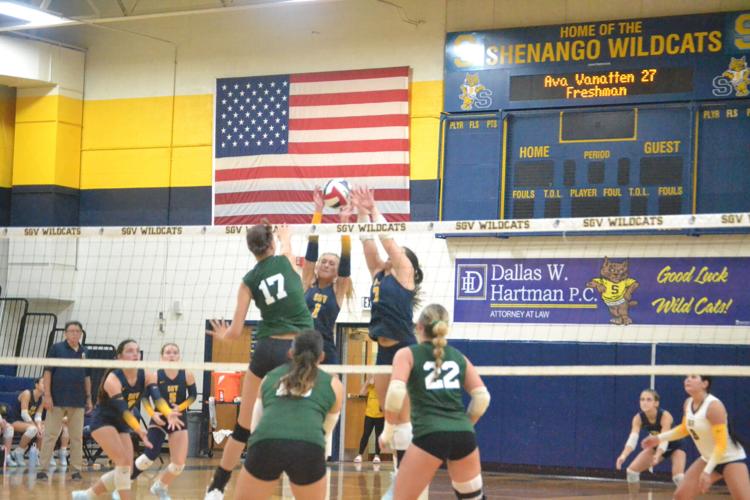 Volleyball - WPIAL Section 4-2A: Laurel at Shenango | Sports ...