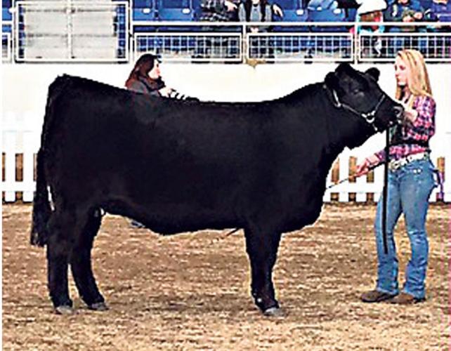 More county residents win, place at state farm show | News ...