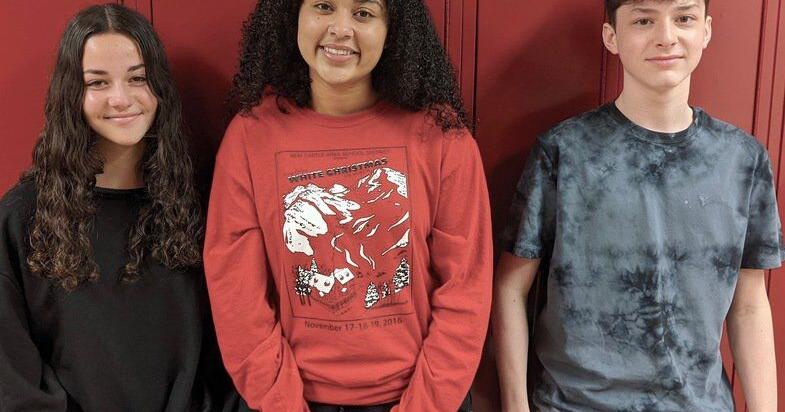 New Castle has three winners at state junior science academy | Local ...