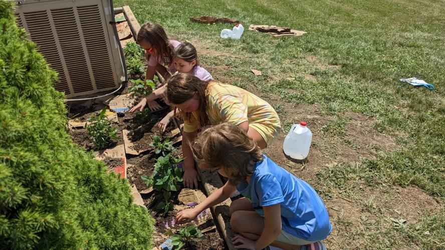 Former YDC property buzzes during Girl Scout camp | Local News ...