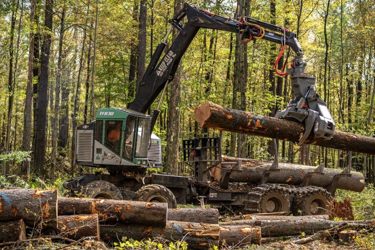 The battle for the heart — and health — of the Allegheny National ...