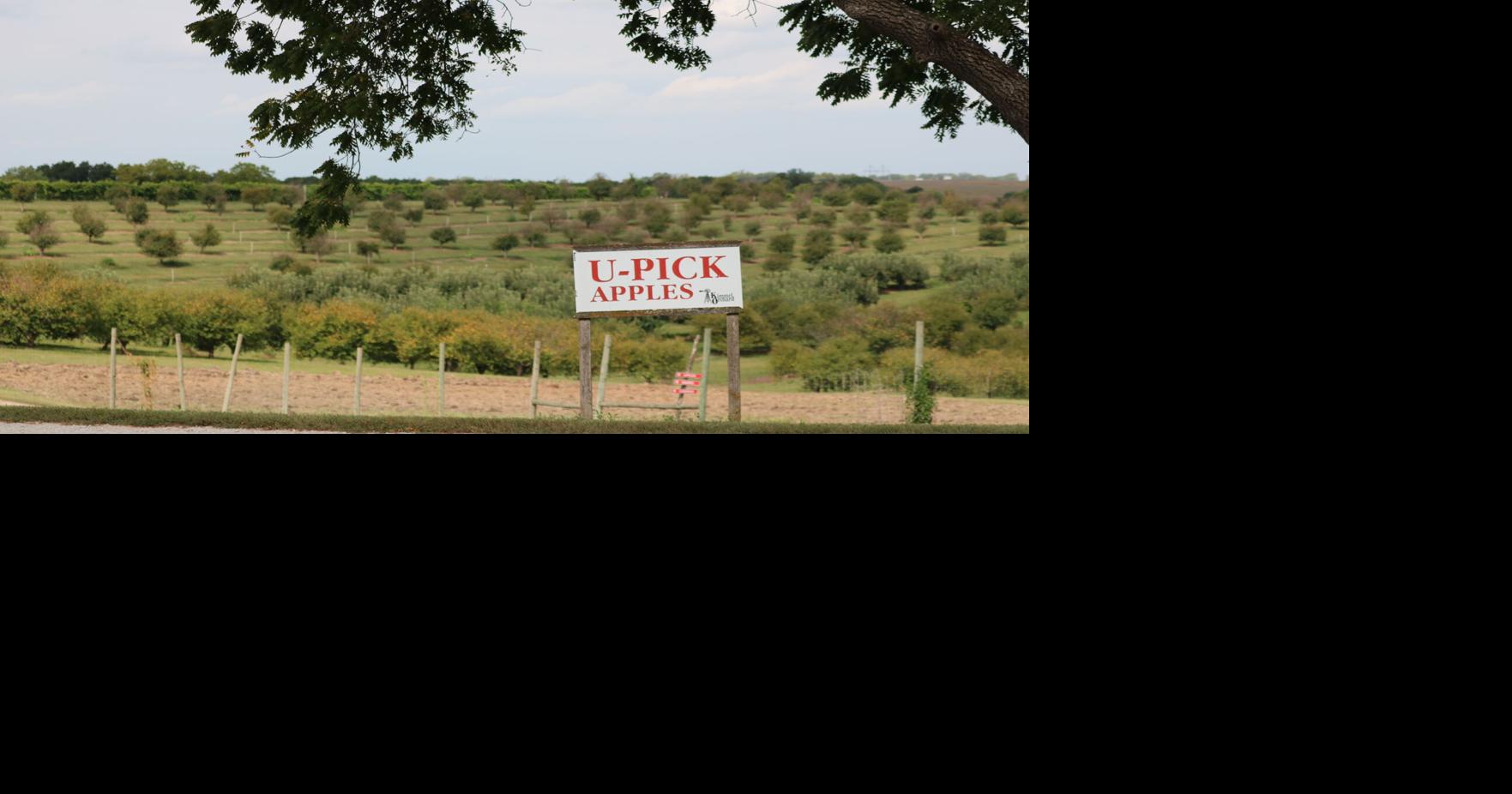 ‘AppleJack’ celebrates 55 years of success, thanks to the orchards ...