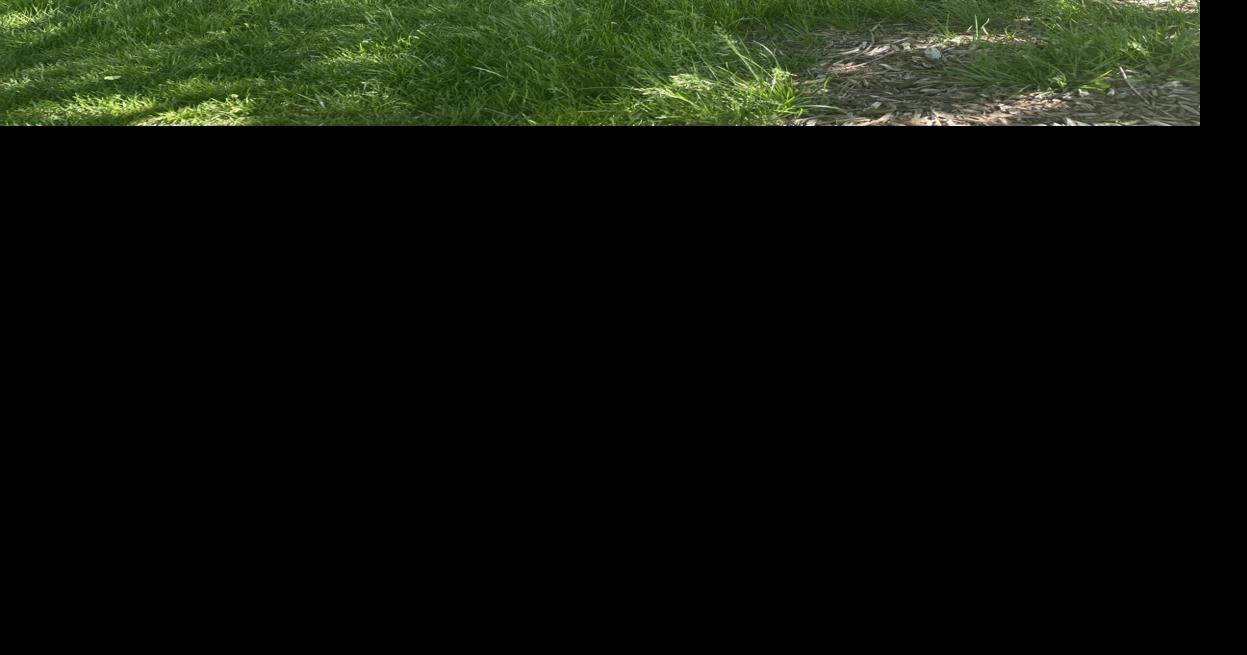 The Lighthouse: Opening its Doors for Students Across Lincoln ...