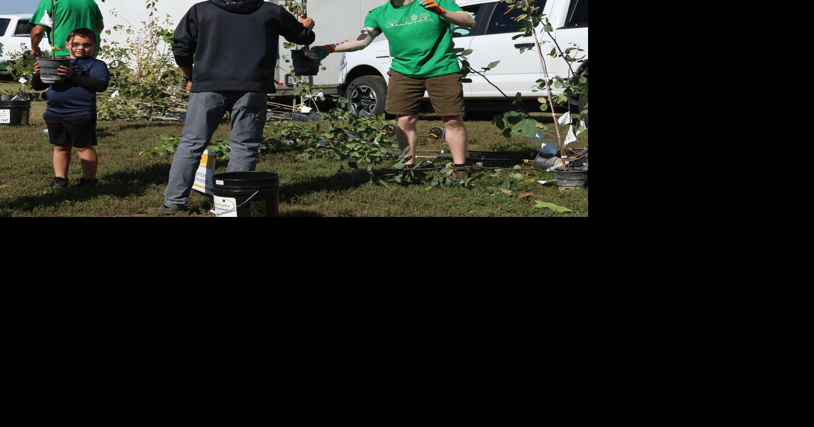 Lincoln Parks and Recreation hands out 400 trees to replace trees lost ...