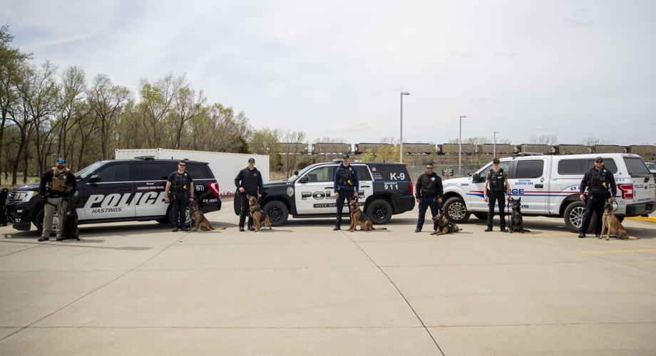 Rural law enforcement turn to police dogs for crime deterrence | News ...