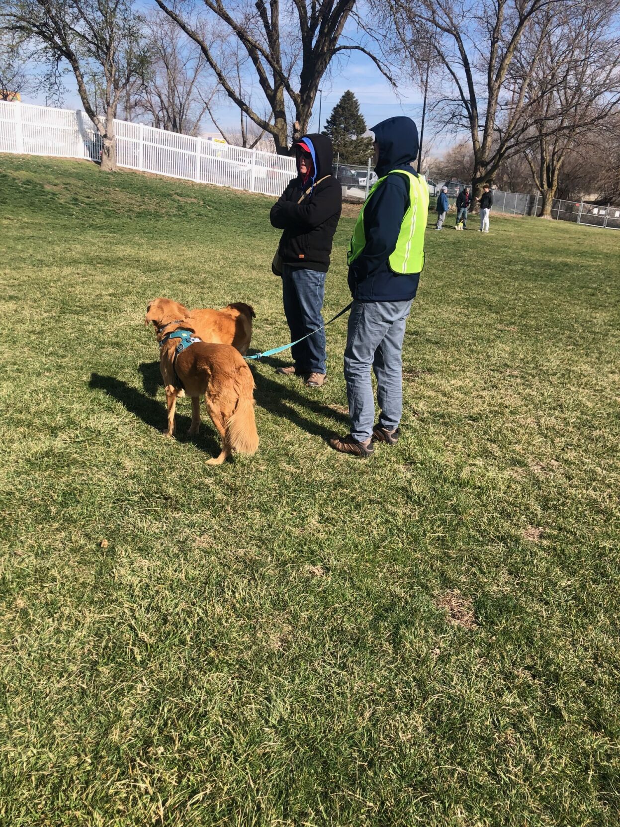 Dogs, fields and fun: The story of Yappy Pack playgroup | A&E ...