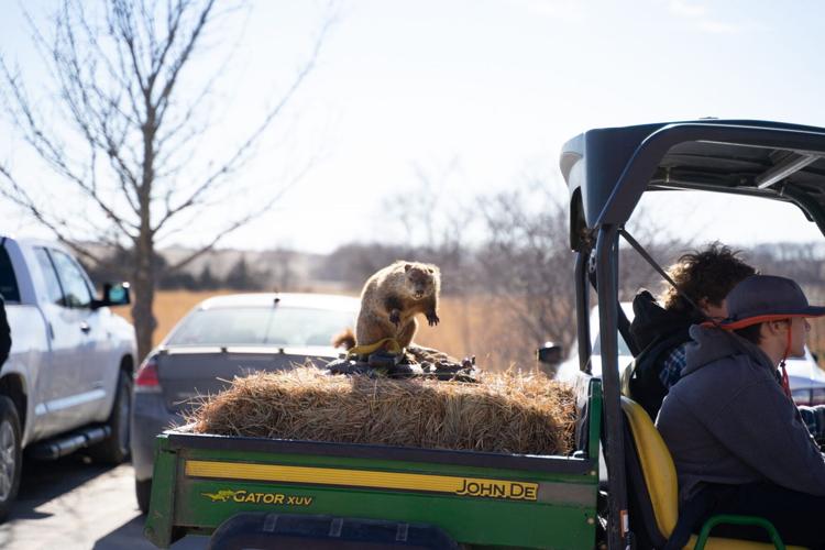 Unadilla celebrates groundhogs and community | News ...