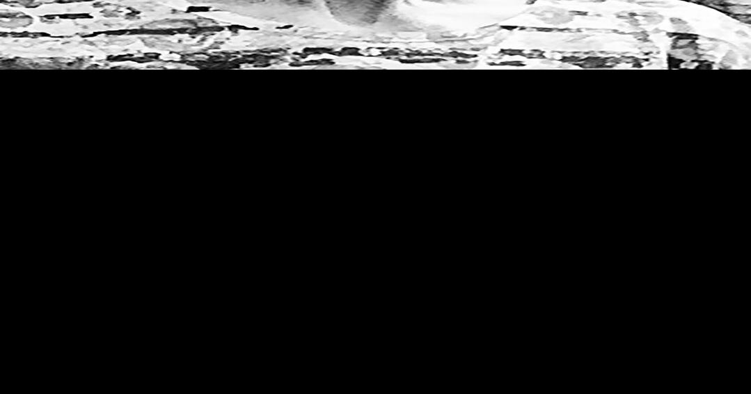 Frances Annette Legters Fair, 76 | Obituaries | nenjnews.com