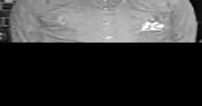 Clarence ‘Scrappy’ David Onorato, 86 | Obituaries | nenjnews.com