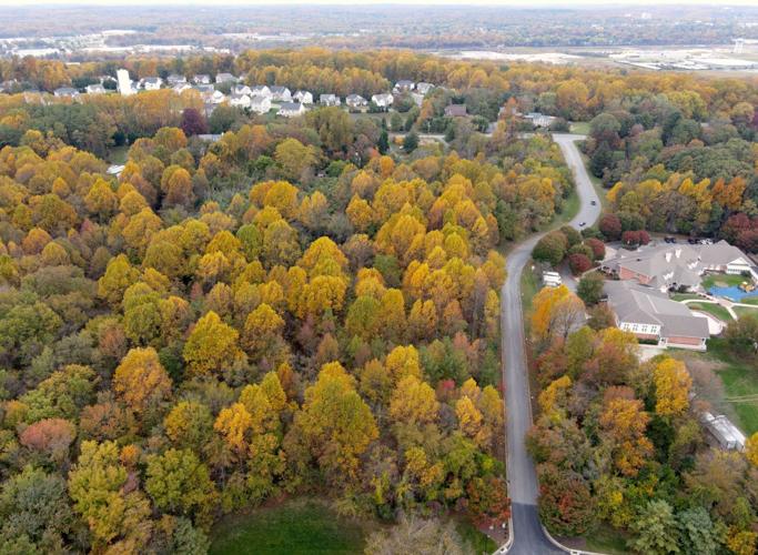 The splendor of autumn: Fall foliage around Newark | News ...