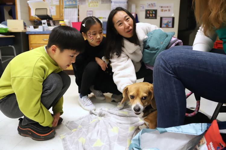 Downes Elementary event promotes health, wellness | News Gallery ...