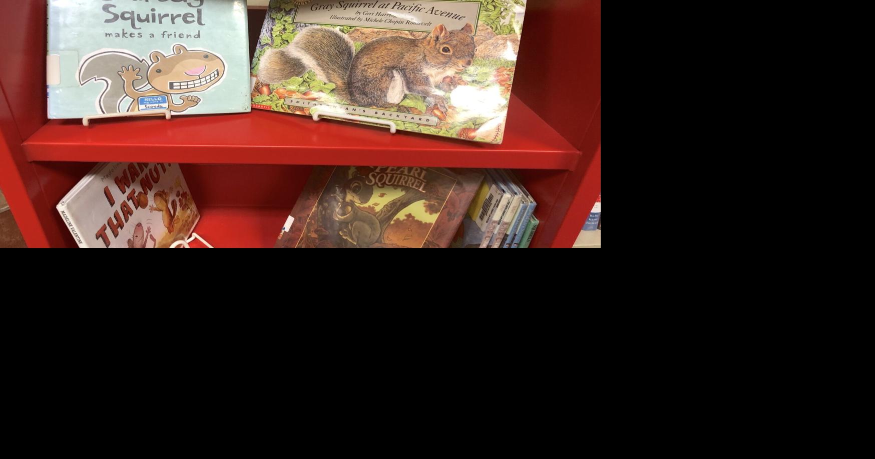 Newark Free Library reopens after squirrel 'nightmare' | News ...