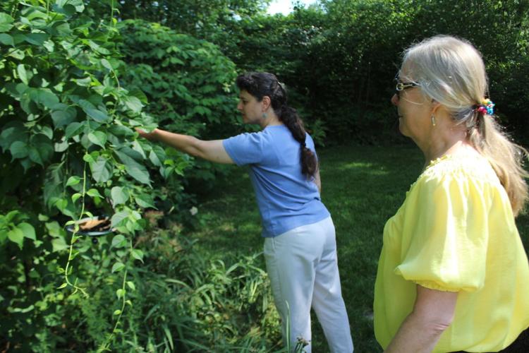 Get to work: Landscape architect enjoys job for the creativity | News ...