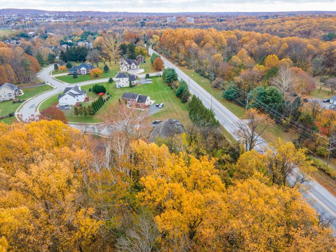 Photo gallery: Fall foliage in Newark | News Gallery | newarkpostonline.com