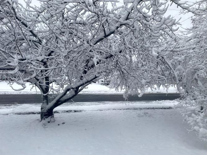 Blizzard a bust in Newark as snow total falls well short of predictions ...