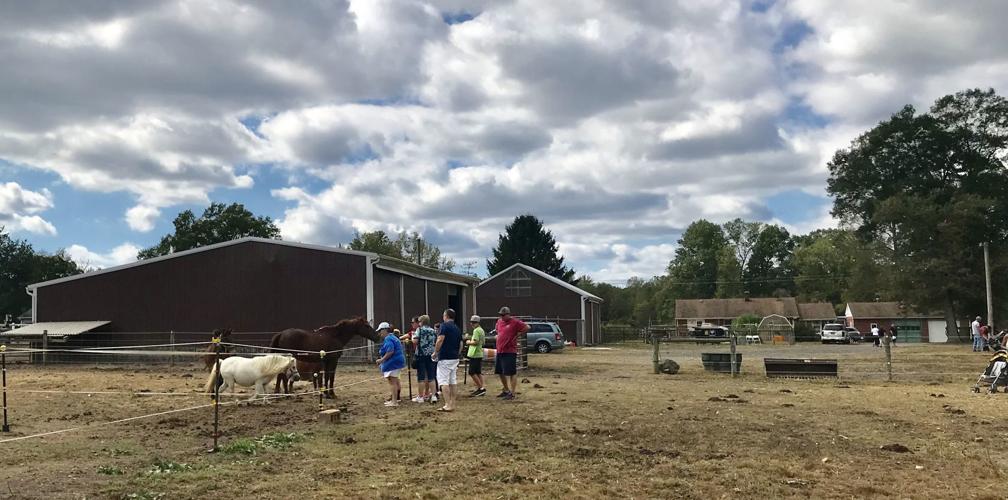 Newark-area alpaca farm celebrates fall | News | newarkpostonline.com