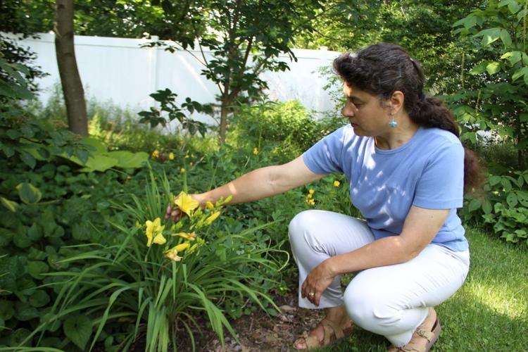 landscape architect at work