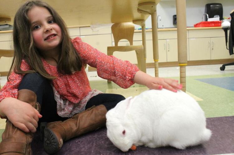 Therapy rabbit brings joy to children | News | newarkpostonline.com