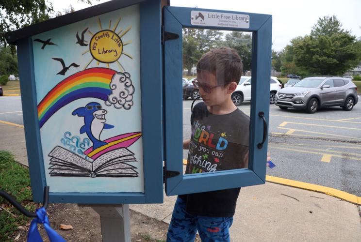 Girl Scouts install Little Free Library at Downes Elementary | News ...
