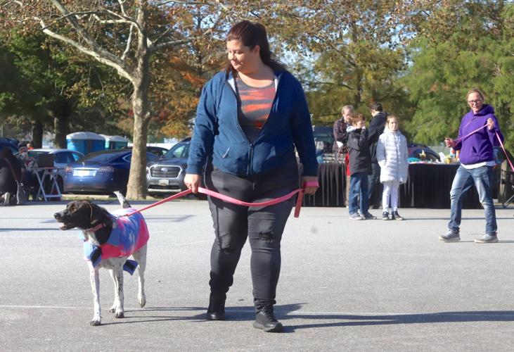 NewBark PawLooza draws dogs and their owners to Handloff Park | News ...