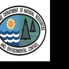 DNREC seeks additional volunteers for Cedar Creek Wildlife Area project ...