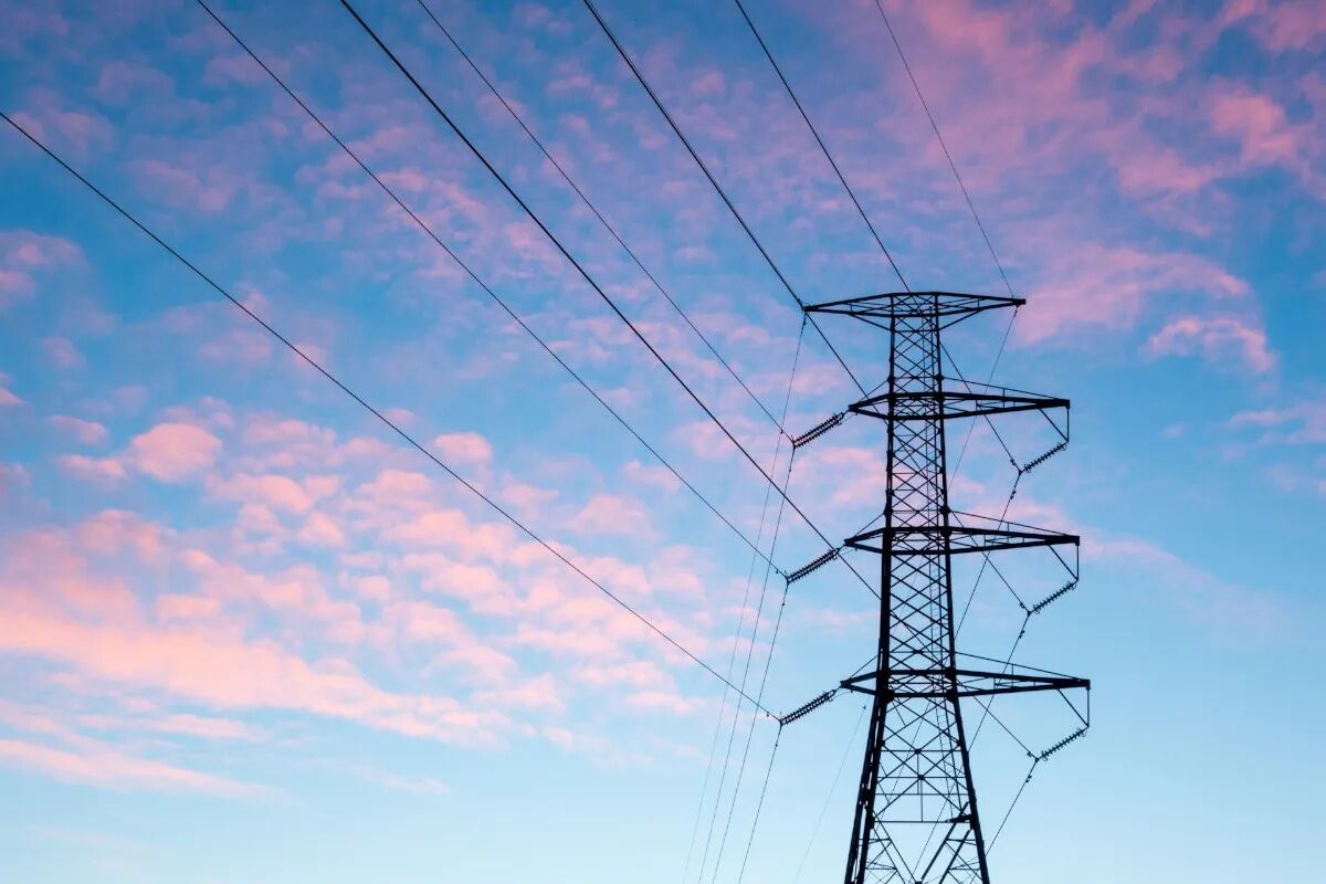 Electricity grid could see record demand during winter storm ...