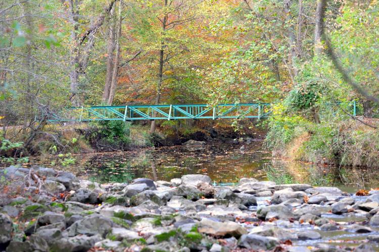 The splendor of autumn: Fall foliage around Newark | News ...