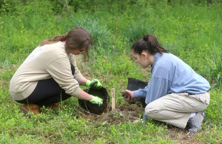 Volunteers plant hundreds of trees in Newark parks for Earth Day | News ...