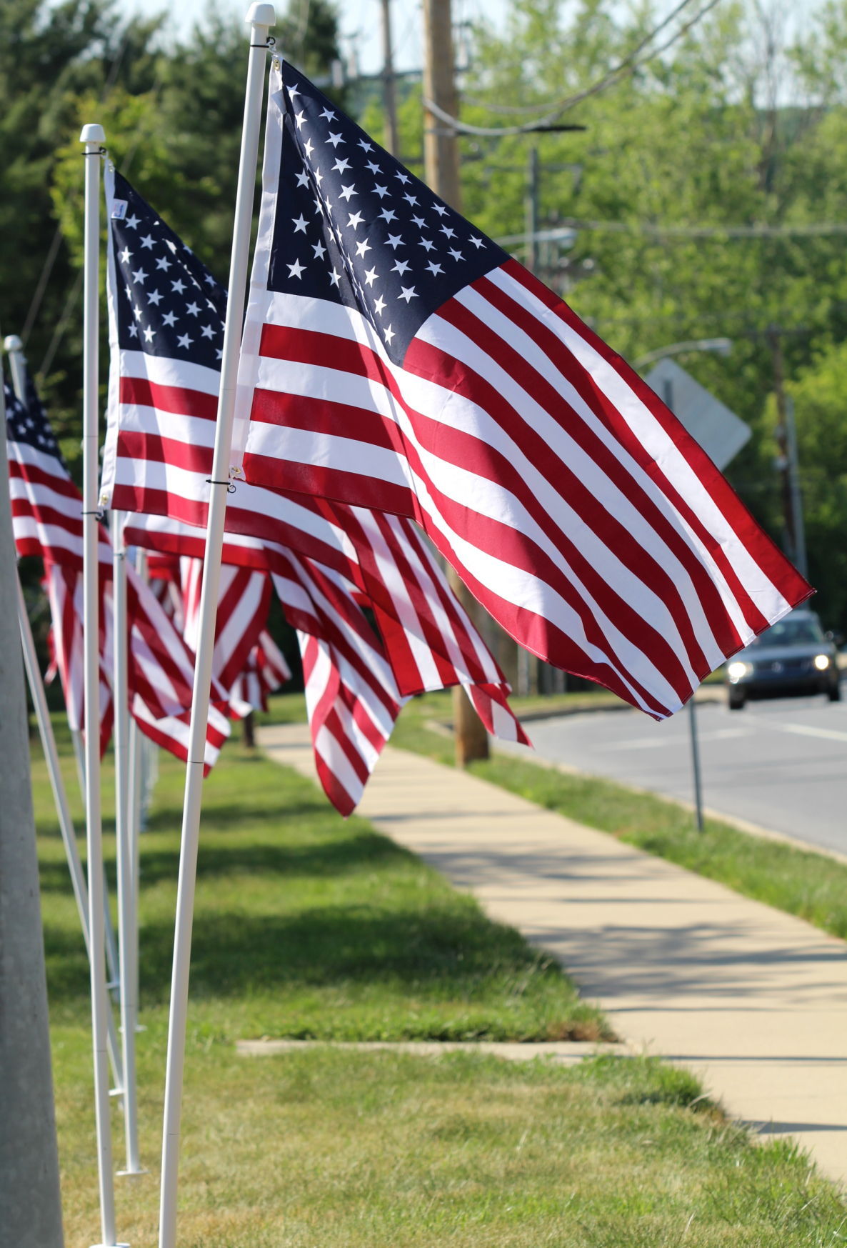 Newark Rotary Club displays ‘Flags for Heroes’ | News ...