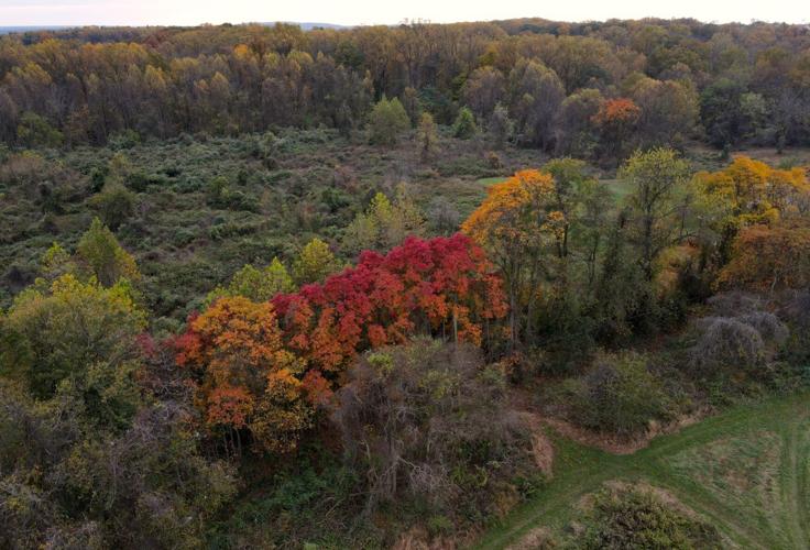 The splendor of autumn: Fall foliage around Newark | News ...