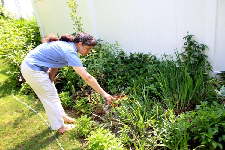 Get to work: Landscape architect enjoys job for the creativity | News ...