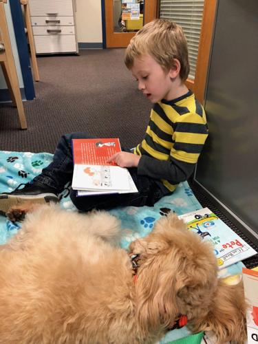 PAWS for People celebrates 15th anniversary | News | newarkpostonline.com