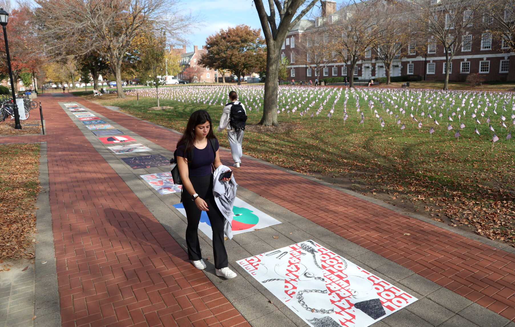 International art installation on the UD Green promotes tolerance ...